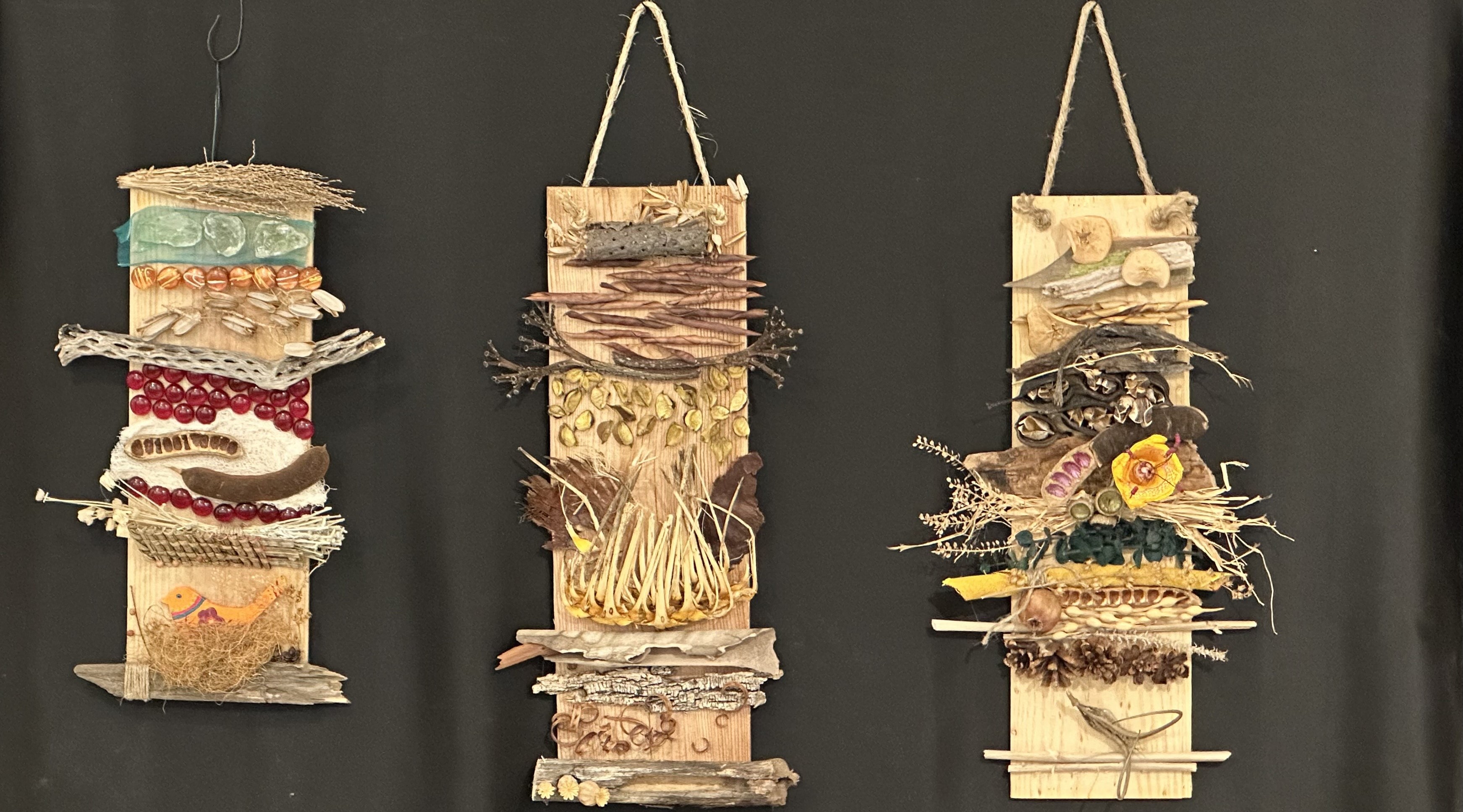 Nature Hanging | UA Cooperative Extension